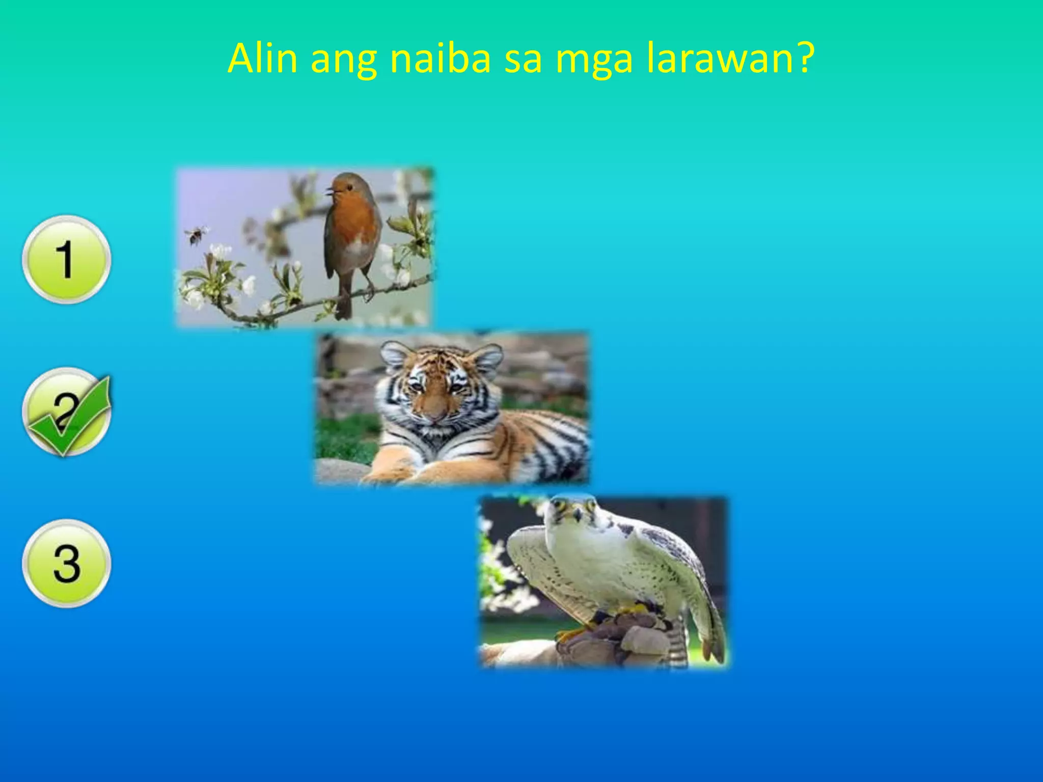 Sample presentation renelyn | PPTX