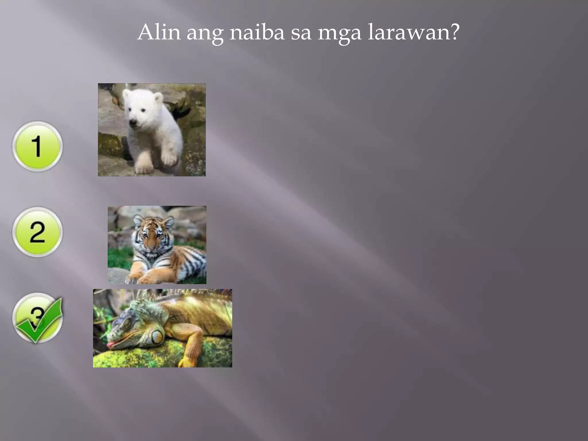 Sample presentation aub | PPTX