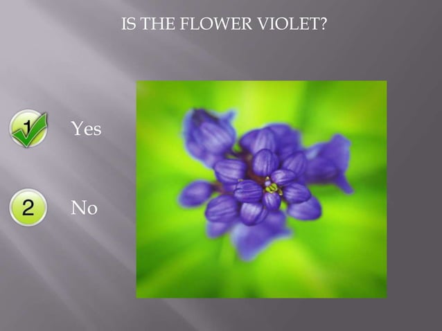 Sample presentation aub | PPTX