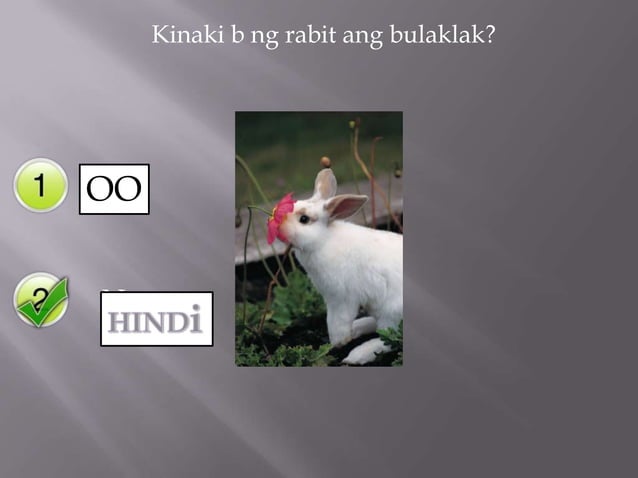 Sample presentation aub | PPTX