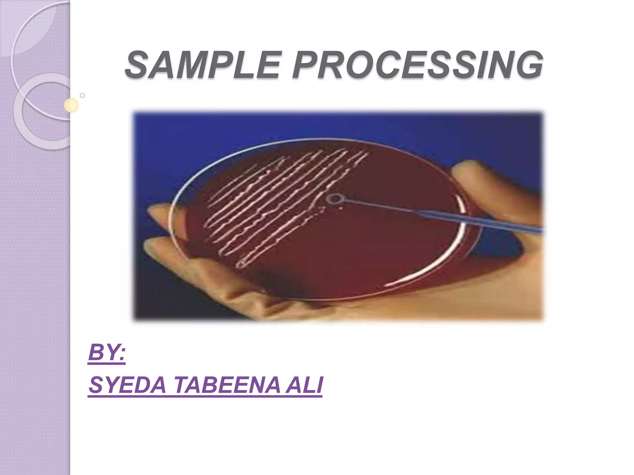 Microbiologica Samples processing | PPTX | Chemistry | Science