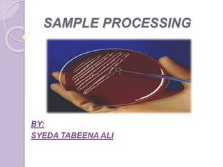 Microbiologica Samples processing | PPT