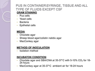Microbiologica Samples processing | PPT