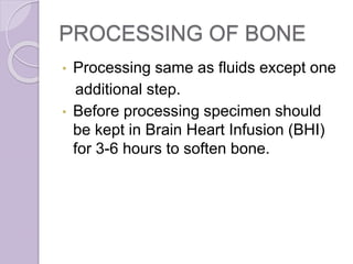 Microbiologica Samples processing | PPT