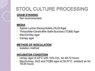 Microbiologica Samples processing | PPT