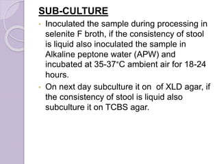 Microbiologica Samples processing | PPT