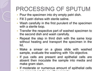 Microbiologica Samples processing | PPT