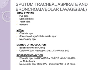 Microbiologica Samples processing | PPT