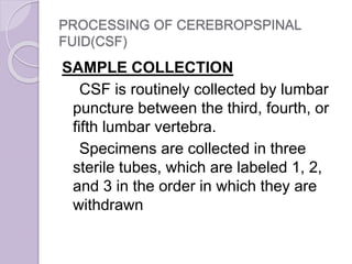 Microbiologica Samples processing | PPT
