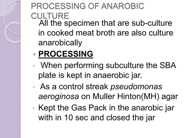 Microbiologica Samples processing | PPT