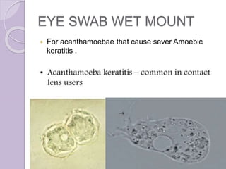 Microbiologica Samples processing | PPT