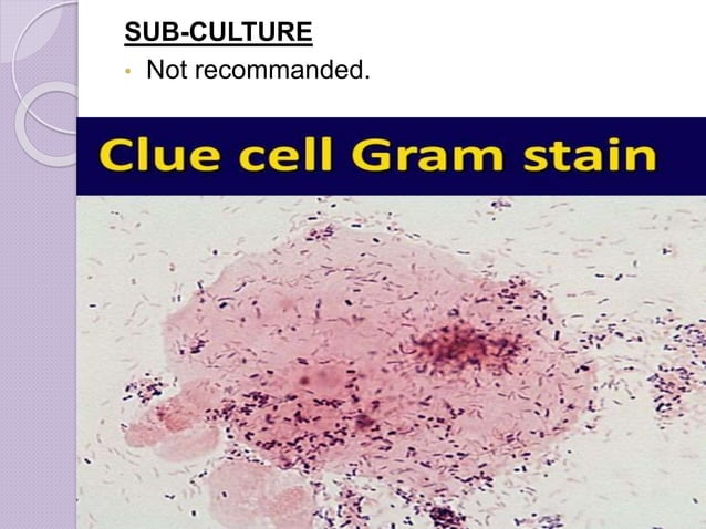 Microbiologica Samples processing | PPT