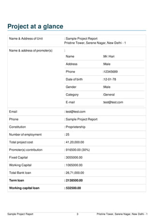 Finline sample project report for bank loan | PDF