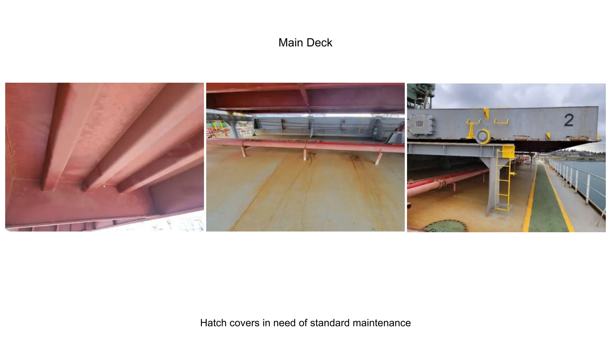 Sample report in hawai intersestin .pptx