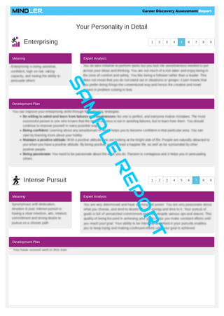 Mindler's Sample Career Assessment Report | PDF