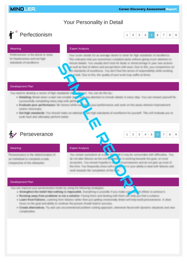 Mindler's Sample Career Assessment Report | PDF