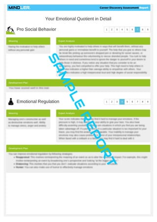 Mindler's Sample Career Assessment Report | PDF