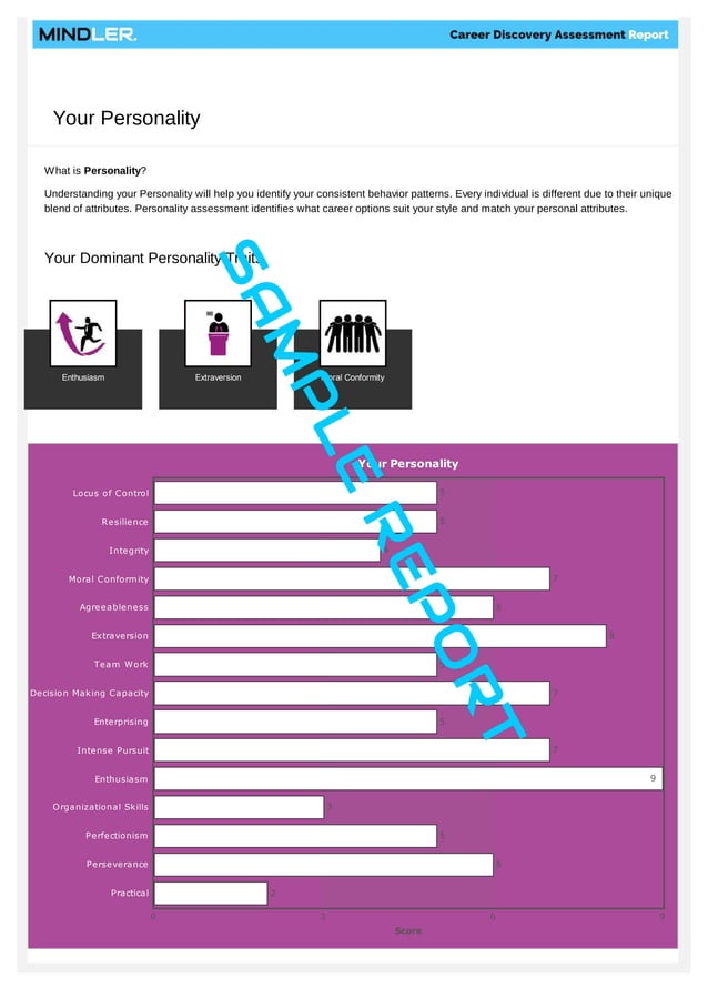 Mindler's Sample Career Assessment Report | PDF