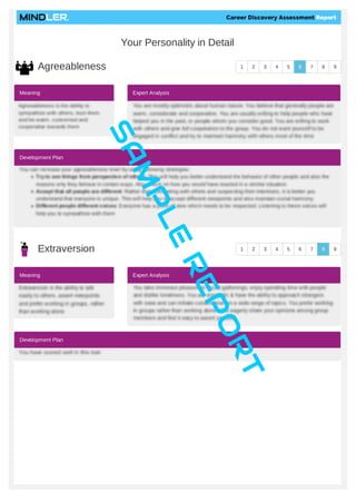 Mindler's Sample Career Assessment Report | PDF