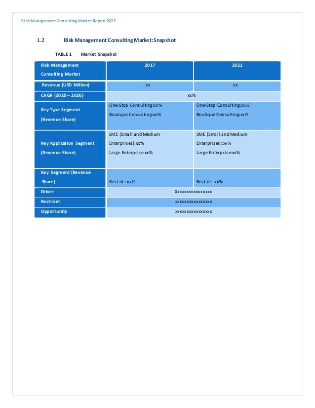 Sample Risk Management Consulting Market Report 2022 | PDF