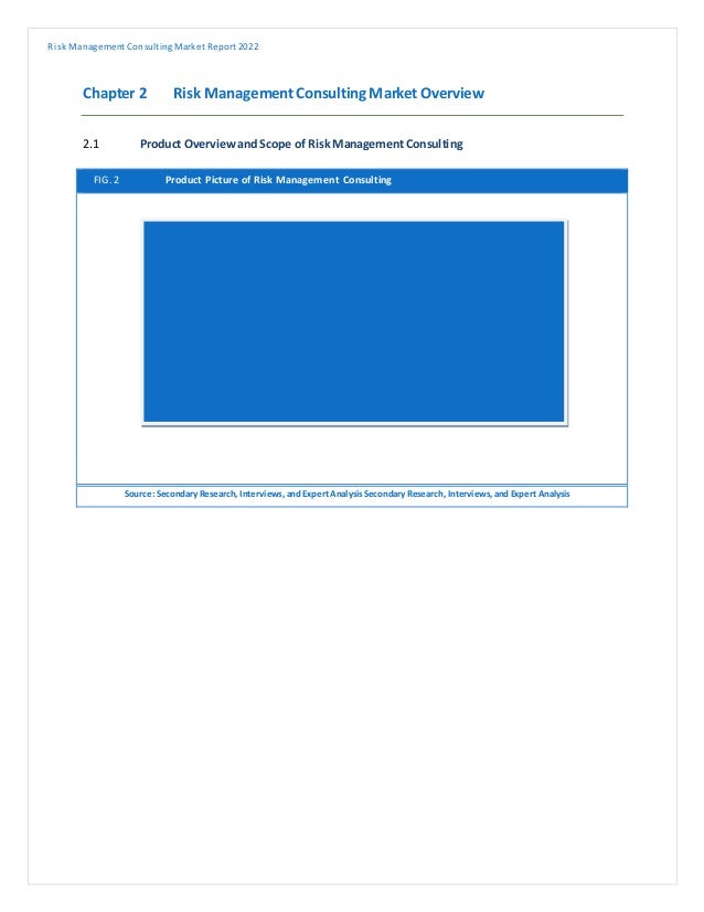 Sample Risk Management Consulting Market Report 2022 | PDF