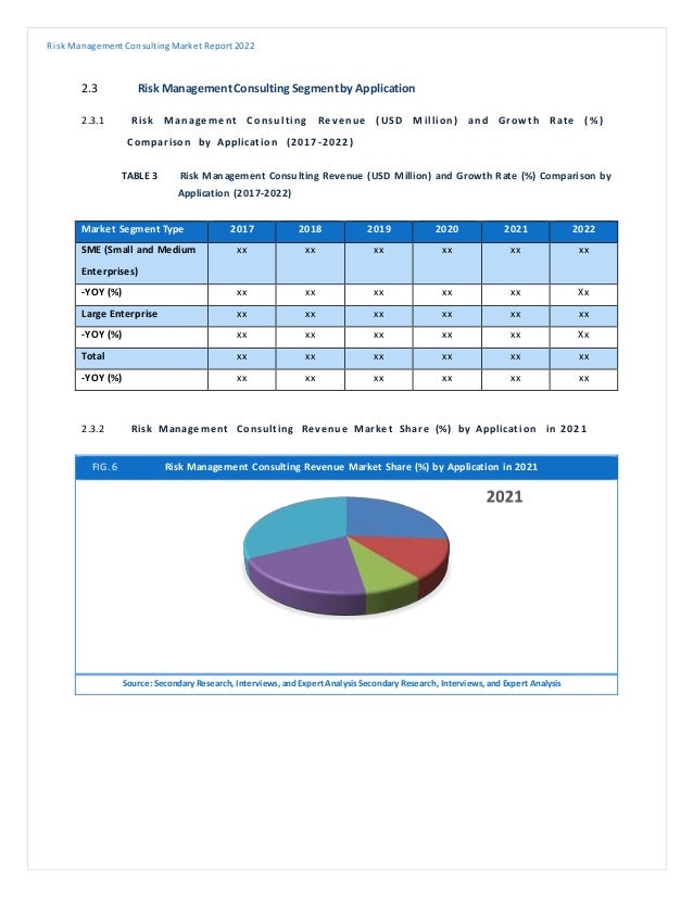 Sample Risk Management Consulting Market Report 2022 | PDF
