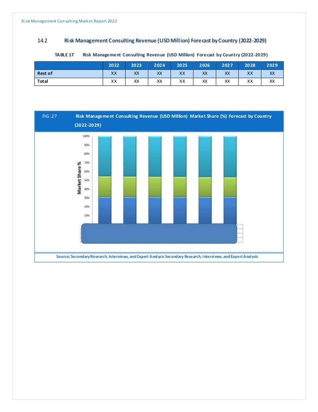 Sample Risk Management Consulting Market Report 2022 | DOCX