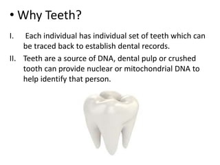 Samples used in Forensic Odontology | PPT
