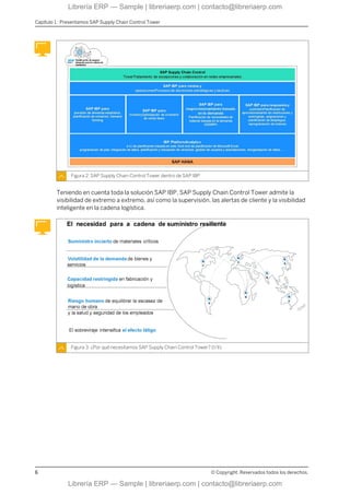 IBP500 Col2502 SAP Supply Chain Control Tower | PDF