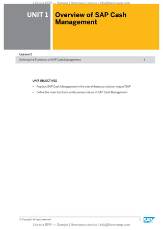 Customizing in Cash Management in SAP S/4HANA | PDF