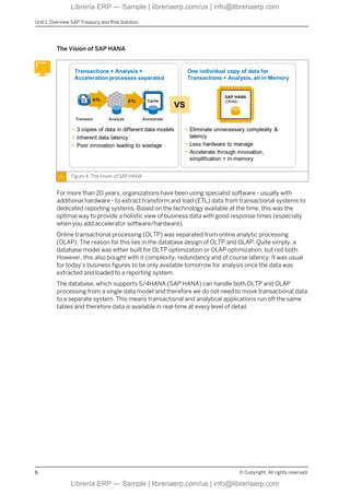 Business Processes in Treasury and Risk Management in SAP S/4HANA | PDF