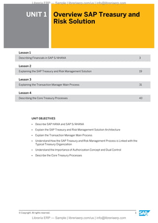 Business Processes in Treasury and Risk Management in SAP S/4HANA | PDF