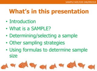 Sample size | PPTX