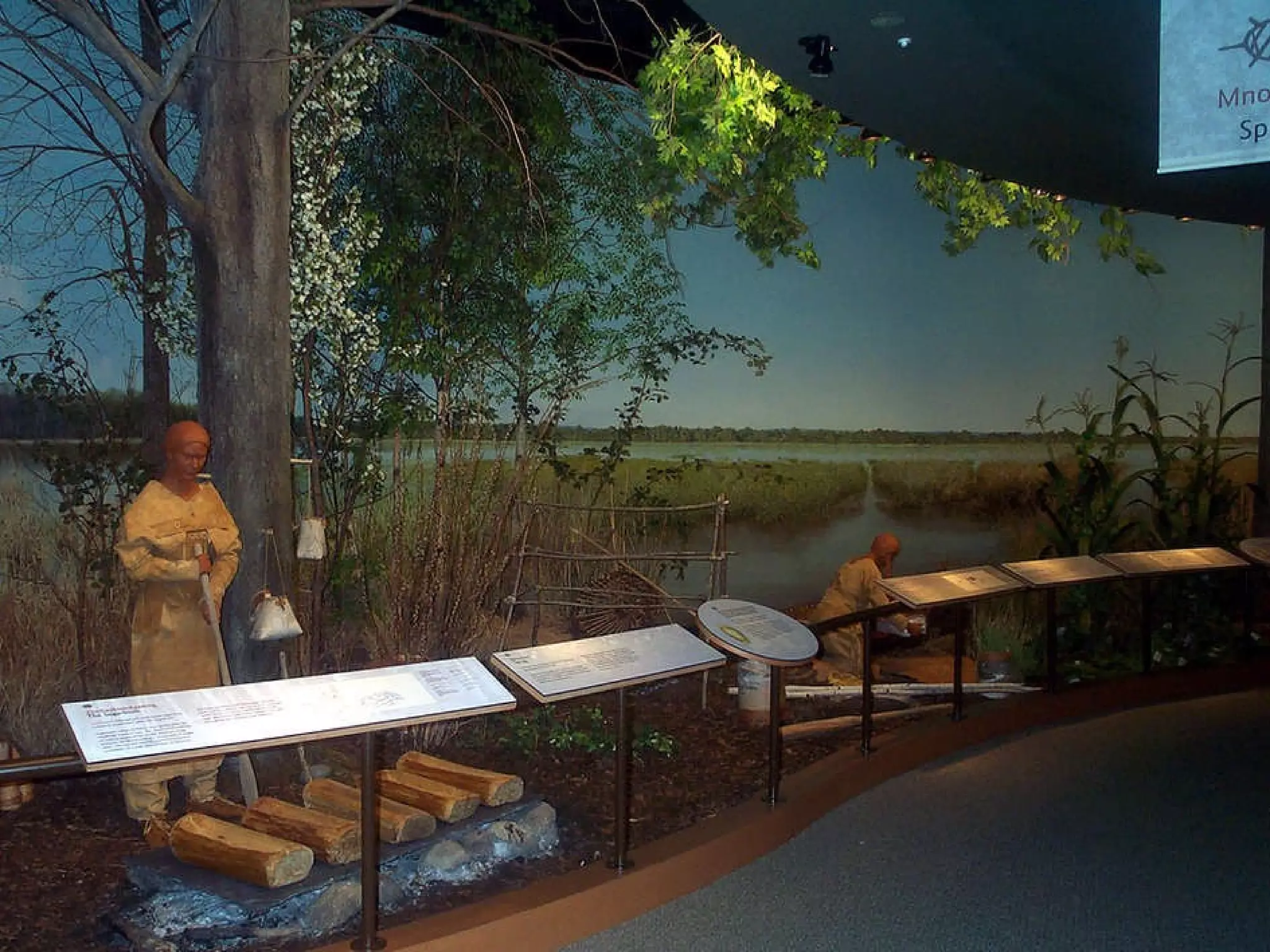 Sample slideshow | PPT