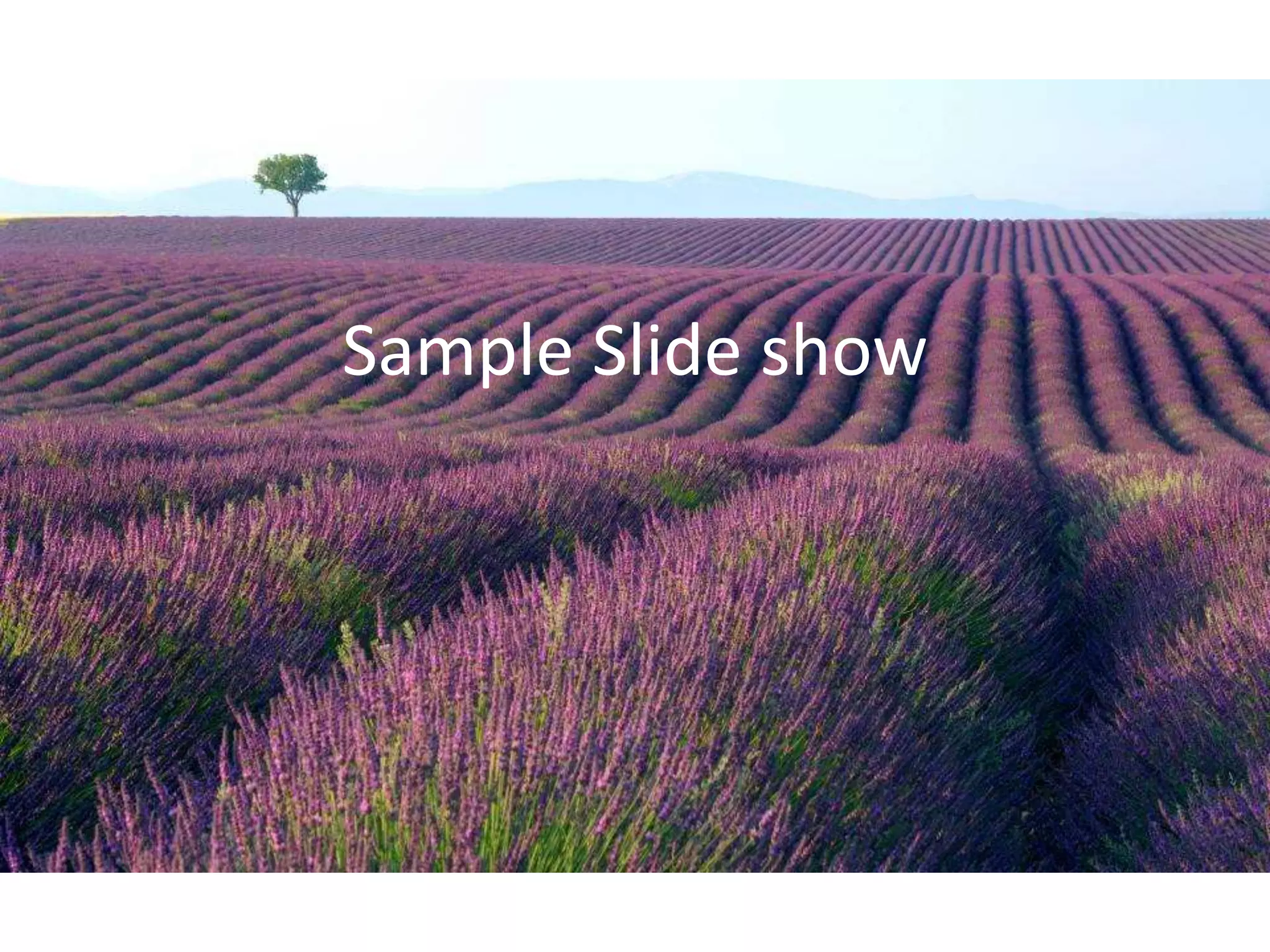 Sample slide show | PPT