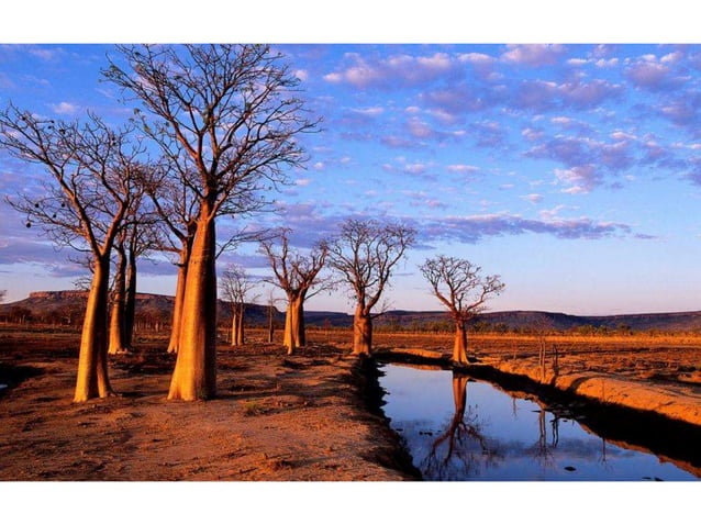 Sample slide show | PPTX