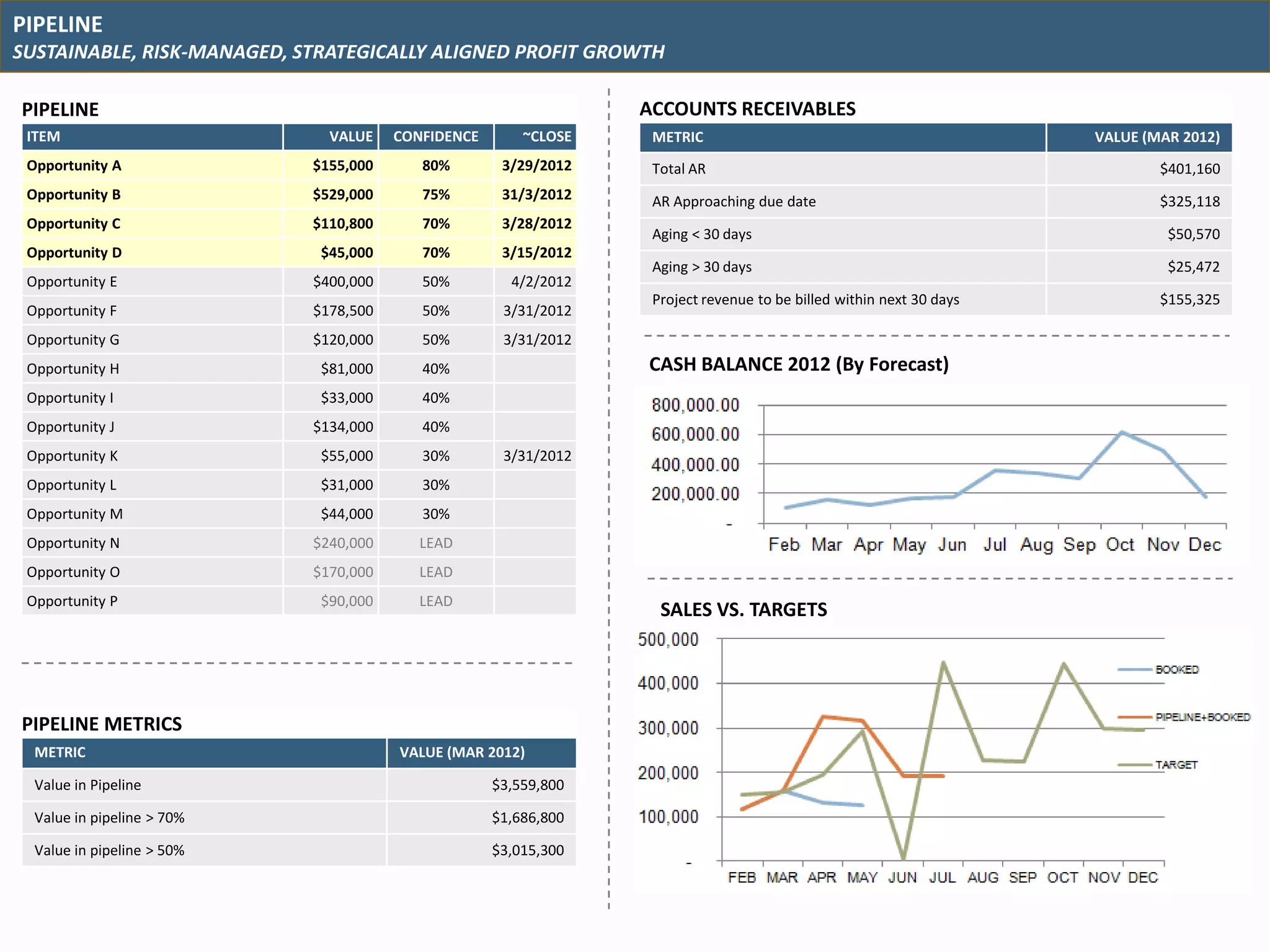 Sample SME Board of Directors dashboard | PPTX