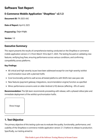 Sample Software Test Report in PDF (Free Download) | PDF