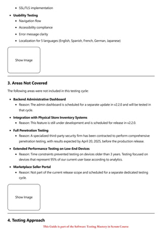 Sample Software Test Report in PDF (Free Download) | PDF