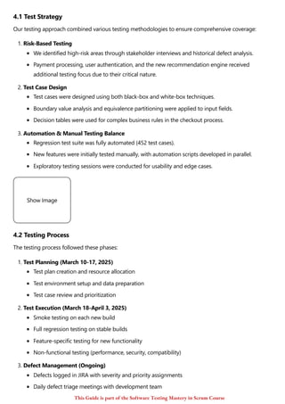 Sample Software Test Report in PDF (Free Download) | PDF