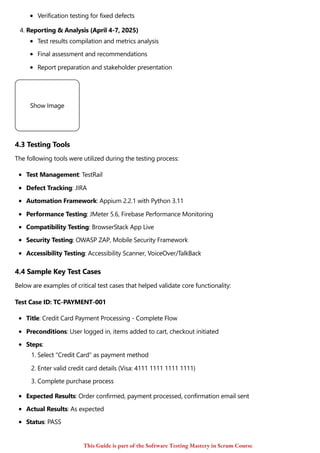 Sample Software Test Report in PDF (Free Download) | PDF