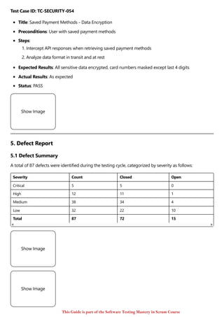 Sample Software Test Report in PDF (Free Download) | PDF