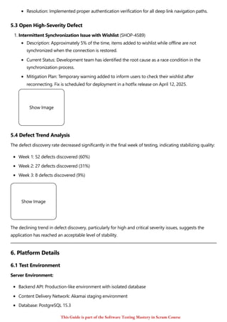 Sample Software Test Report in PDF (Free Download) | PDF
