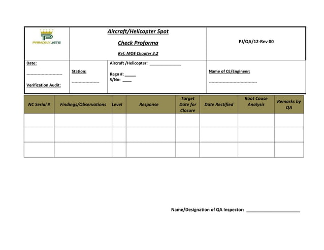 Sample Spot Check Report of Aircraft.docx