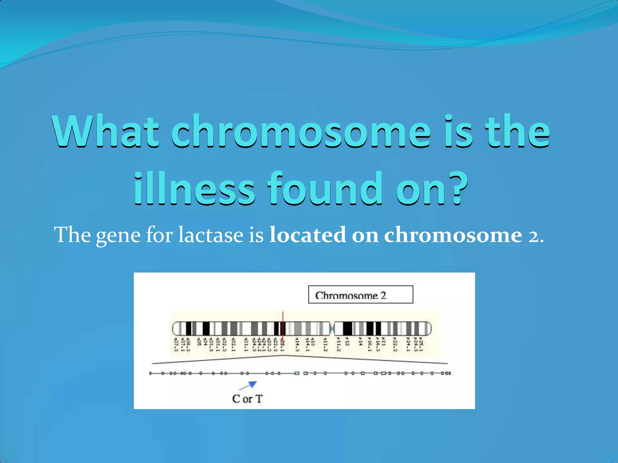Lactose Intolerance. Student Presentation | PPTX
