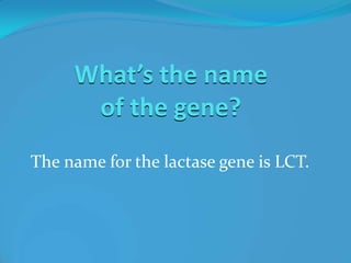 Lactose Intolerance. Student Presentation | PPTX