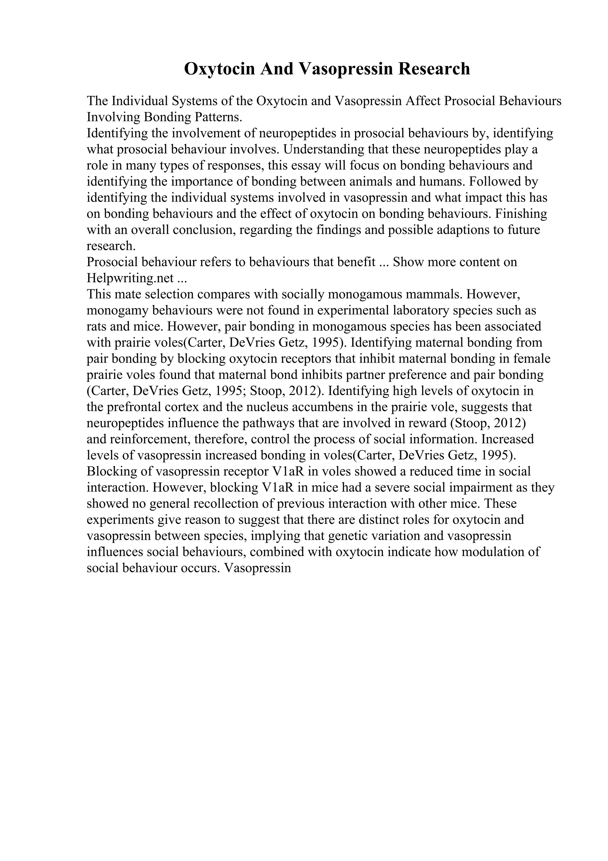 Sample Textual Analysis Essay. Textual Analysis - GCSE Media Studies ...