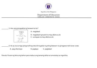 Sample TQ MAPEH for Critiquing.docx | Free Download