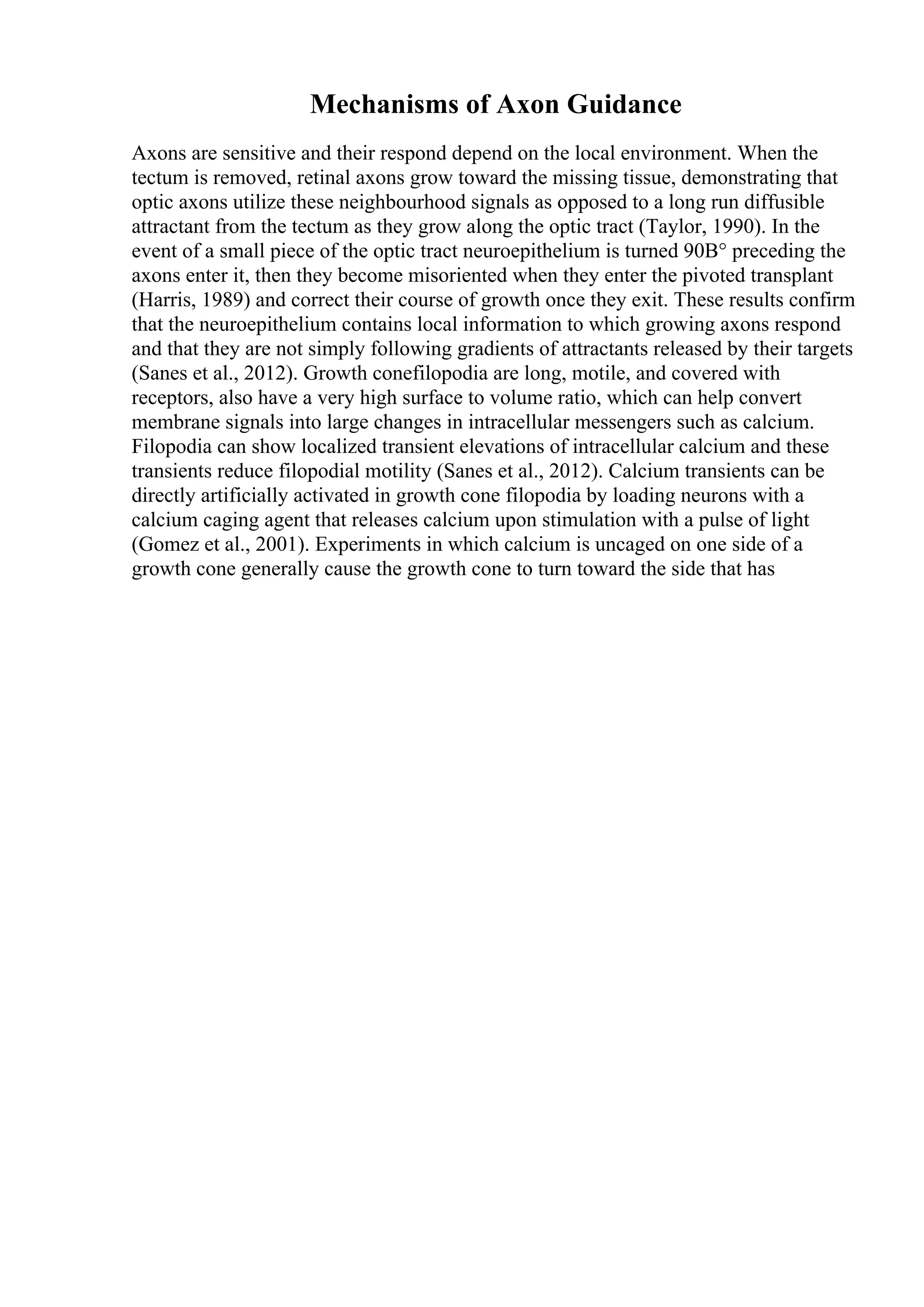 Sample Transfer Essay | PDF