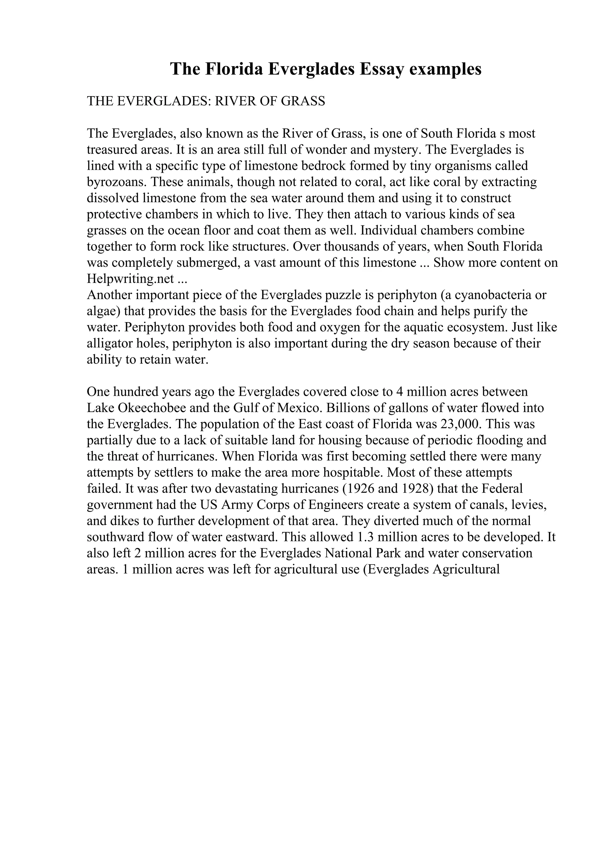 Sample Transfer Essay | PDF